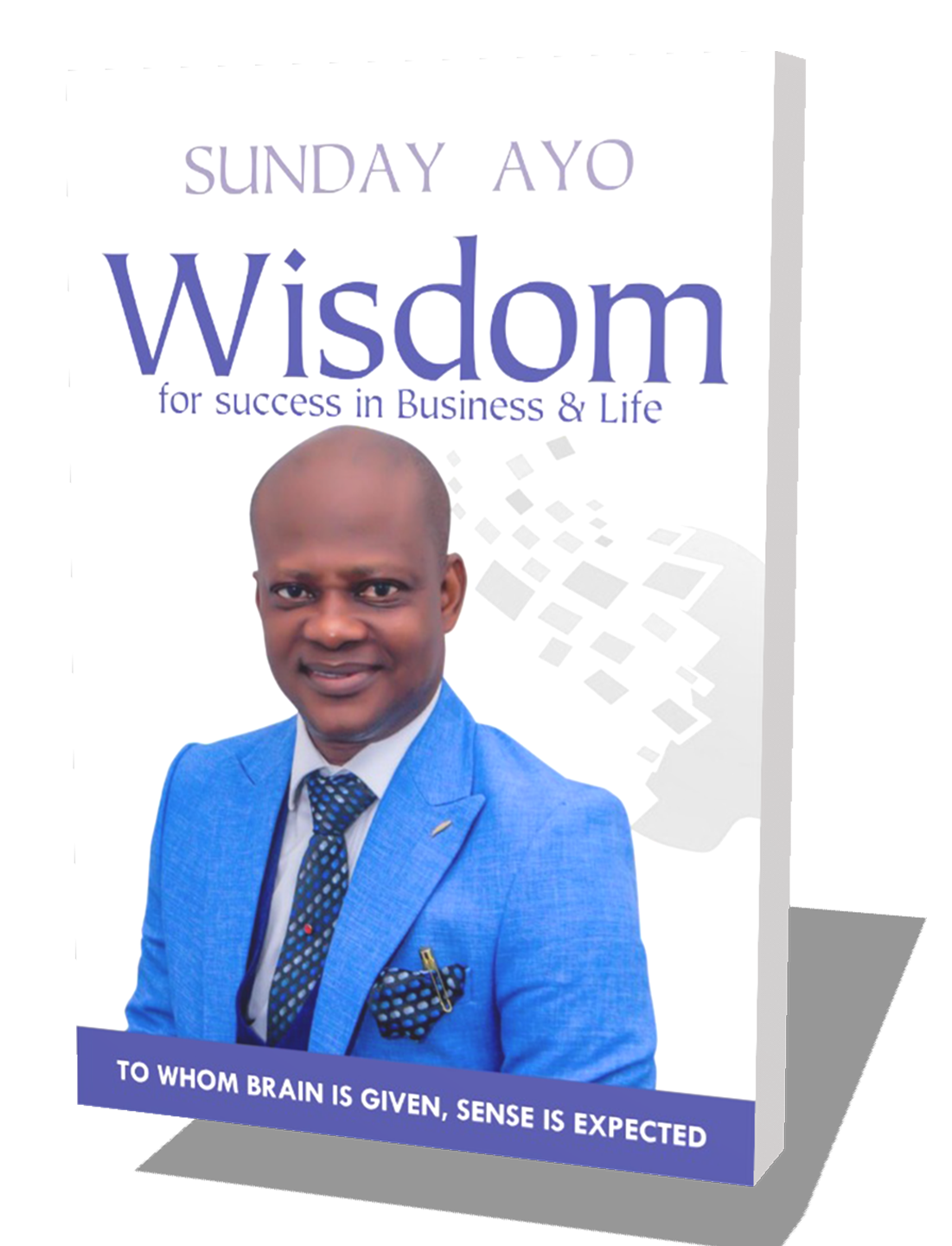Sunday Ayo: Mentor & Speaker : President of Vision Ambassadors THE ...